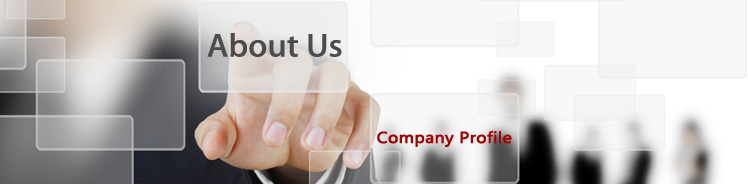 UPNE-TECH Solar Charge Controller